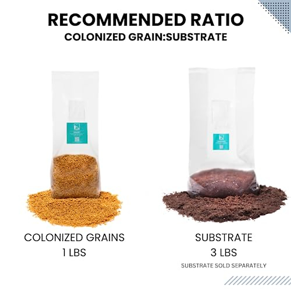 Olympus Myco Sterilized Grain Bag 2 Pack | Millet Substrate for Mushroom Growing | 0.2 Micron Filter Patch | Mushroom Grow Bag | Formulated by Mycologists (3 lbs)