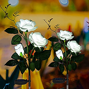 Anordsem 2 Pack Solar Rose Flower Lights, Upgrade Flower Lights Outdoor, Waterproof Solar Garden Stake Lights, Decorative Landscape Lights with 6 Rose Flowers for Backyard, Party, Pathway (White)