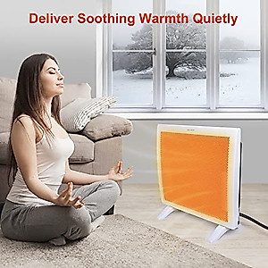 Clawsable Large Dog House Heater with Thermostat, Graphene Pet Heater for Dog, Warm Enough for Multi-Dogs, Pet Warmer w/ 2 Heating Mode (400/800W), Electric Heater Warmer for Chicken Coop Dog Cat Cage