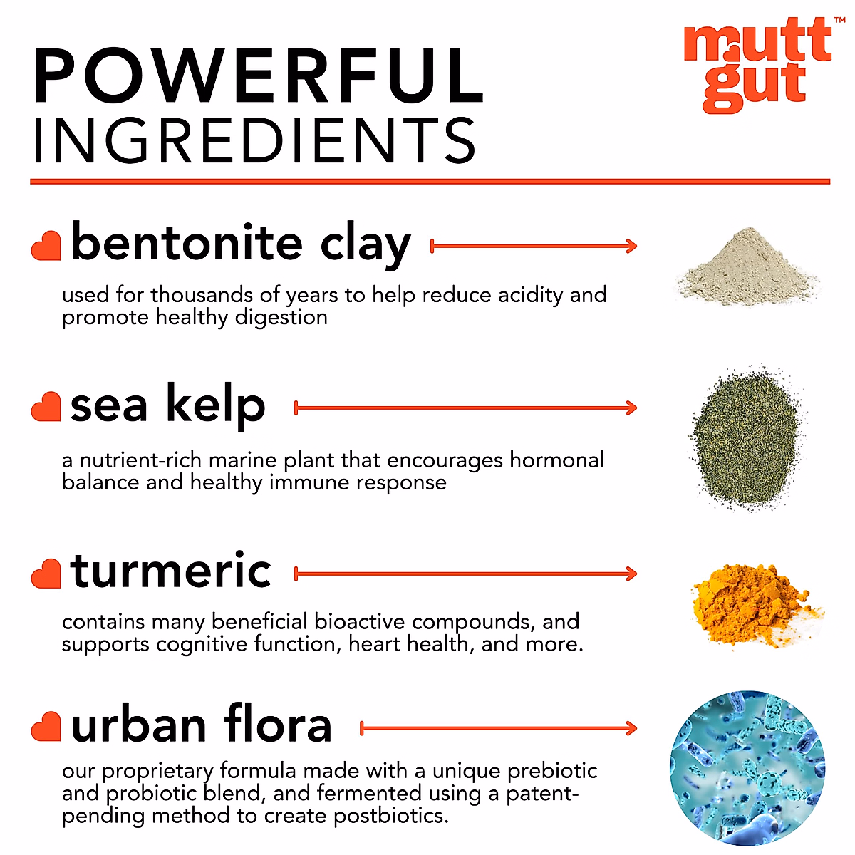 MuttGut All-Natural 3-in-1 Dog Probiotic, Prebiotic, and Postbiotic Supplement Powder - Probiotics for Dogs with 135 Billion CFUs, Anti Diarrhea, Digestive Enzymes & Antioxidants (90g)