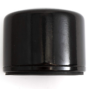 CRAFTSMAN CMXGZAM201009 Current B&S 492392s Oil Filter, Black