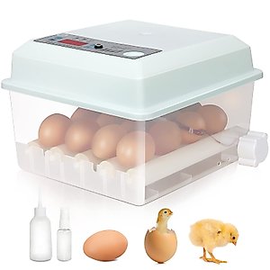 16 Eggs Incubator for Chicken Eggs, Led Candler Automatic Egg Turner Temperature Control,Poultry Hatcher for Chick, Duck, Quail, Goose Eggs