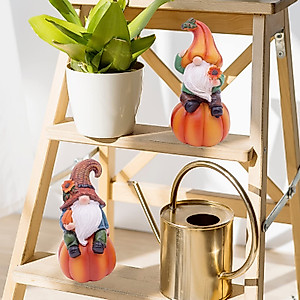 Etistta 2PCS Fall Gnome Pumpkin Decor for Harvest Thanksgiving Figurine, 6.5 inch Polyresin Gnomes Figurine for Home Tabletop Garden Holiday Decorations