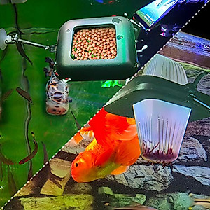 Fischuel Aquarium Feeding Ring Floating Rings Food Feeder Feeding Trough Square with Suction Cup for Fish Feeder with Blood Worms Meal Worms