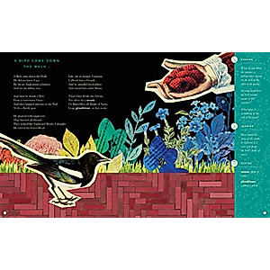 The Illustrated Emily Dickinson: 25 Essential Poems (The Illustrated Poets Collection, 1)