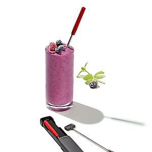 OXO Good Grips Stainless Steel 4 Piece Reusable Straw Set with Case - Red