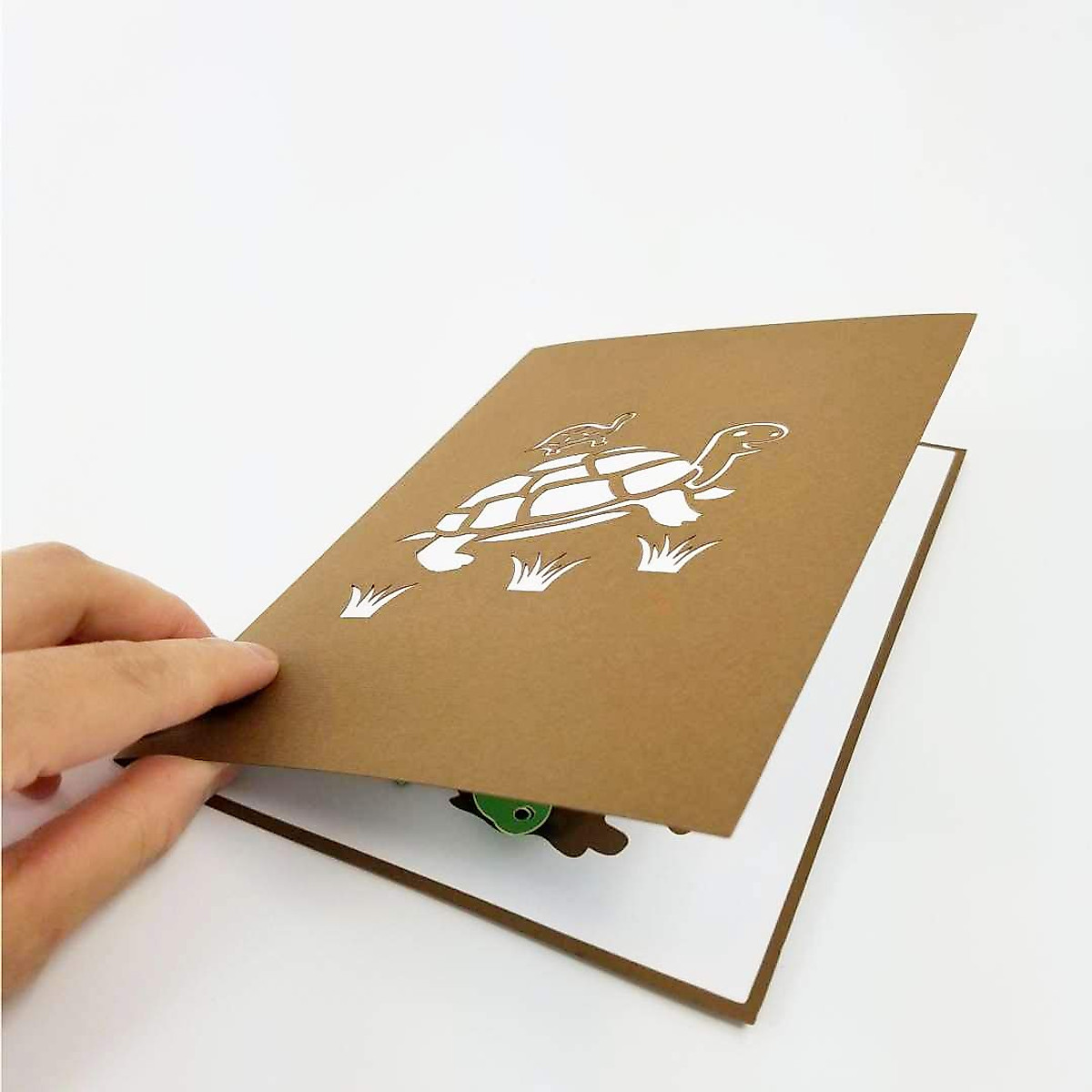 POP CARD EXPRESS Turtle Theme 3D Pop Up Greeting Card - Mother's Day Card, Thank You Mom Card, Father's Day Card, Thank You Dad Card (Turtles Pop Up Card)