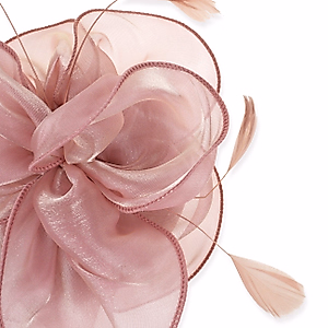 DRESHOW Fascinators Hat Tea Party Headwear Ribbons Feathers on a Headband and a Clip for Girls and Women