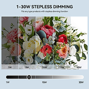 Takerers 16"x16" Photo Studio Light Box Photography, 480 LED Product Lightbox with 3 5500K Stepless Dimming Light Panels, Professional Photo Background Shooting Tent with 4 Color Backdrops