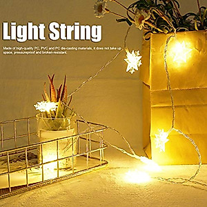 String Light, Decorative Light, IP65 Waterproof Home Bedroom, Garden Decoration Birthday Parties, Weddings for Indoor and Outdoor Christmas, Easter, Halloween