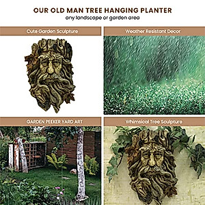 Bits and Pieces - 'Old Man' Tree Hanging Planter - Yard Decorations - Whimsical Tree Sculpture - Indoor/Outdoor Decoration - Garden Peeker Yard Art