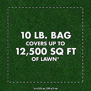 Spectracide Triazicide Insect Killer For Lawns Granules, 10 lb Bag, Kills All Listed Lawn-Damaging Insects