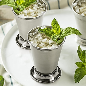 ZEAYEA Set of 2 Mint Julep Cups, Classic Stainless Steel Glasses for Party Bar Home Restaurant, 12 oz Metal Cocktail Glasses for Beer Juice Beverage, Silver