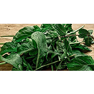 Sow Right Seeds - Arugula Seed for Planting - Non-GMO Heirloom Seeds with Instructions to Plant a Kitchen Herb Garden, Indoors or Outdoor; Great Gardening Gift