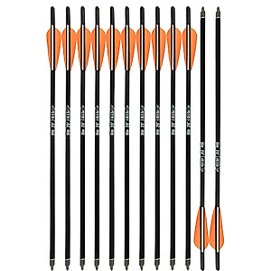 REEGOX Crossbow Bolts 20 inch Bio Crossbow Arrows with 4-Inch Vanes(Pack of 12)