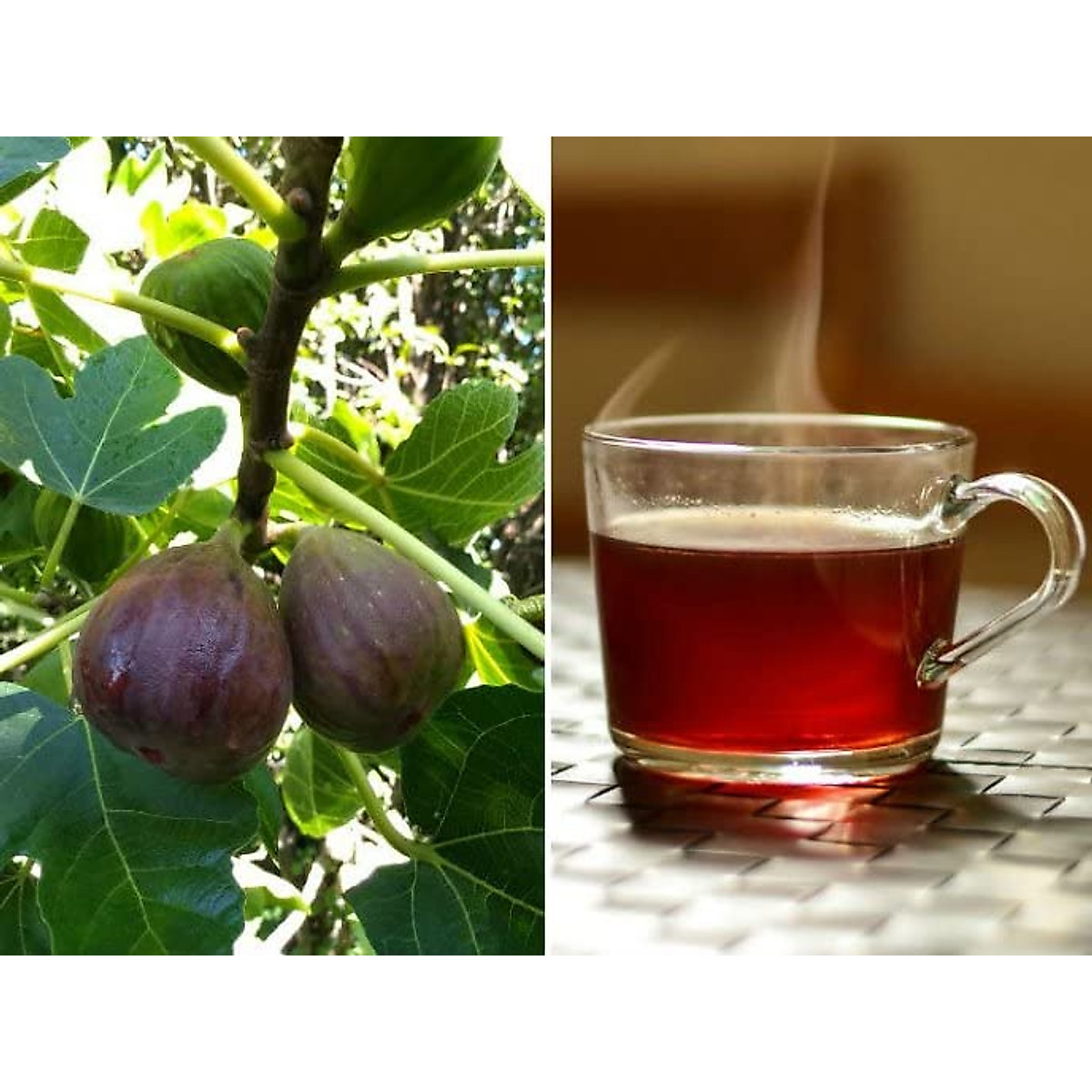 Yerbero - Fig Leaves Herbal Tea 2oz (58gr) Hoja De Higo Te | Ficus carica | Stand Up Resealable Bag Crafted By Nature100% All Natural Fresh Tea Tea | Non-GMO | From Mexico