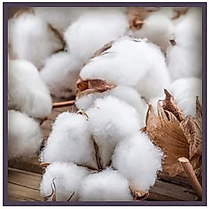 AEJESOP Men's Multicolour Handkerchiefs,100% Soft Cotton, Mens Hankie, Cotton Color Handkerchief Set, Colour Hanky, Gifts Pack of 6 Pieces, SIZE : 16" x 16 "