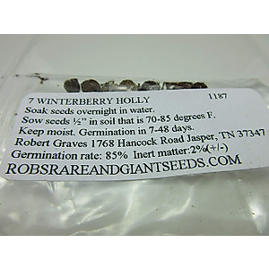 1187-Red Holly Winter Berry (Ilex verticillata) Seeds by Robsrareandgiantseeds UPC0764425788317 Non-GMO,Organic,USA Grower,Bonsai,1187 Package of 7 Seeds