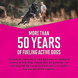 Eukanuba Senior Small Breed Dry Dog Food, 5 lb