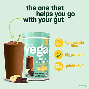Vega Hello Wellness You’ve Got Guts Blender Free Smoothie, Choco Cinnamon Banana (14 Servings) Plant Based Vegan Protein Powder, 5g Prebiotic Fiber, 0g Added Sugar, 14.3oz (Packaging May Vary)