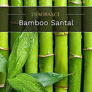 Candle-lite Premium Bamboo Santal Scent, 14 oz. 3-Wick Aromatherapy Candle with up to 45 Hours of Burn Time, Green