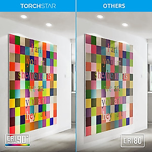 TORCHSTAR 12-Pack PAR20 LED Bulbs, CRI 90+ Dimmable 500 LM LED Spotlight Bulb, 5000K Daylight, UL & Energy Star Listed, 6.5W 50 Watt Equivalent, 40 Degree Beam Angle, E26 Medium Base