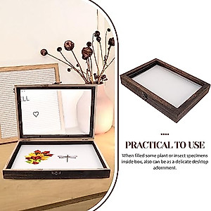 Cabilock Insect Display Case Wooden Bug Collection Box with Clear EVA Top Insect Shadow Box Insect Specimen Storage Box for Home