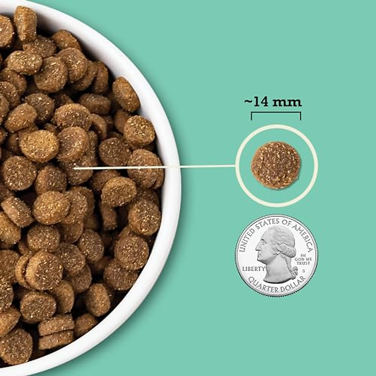 ACANA Wholesome Grains Dry Dog Food, Lamb & Pumpkin Recipe, 22.5lb