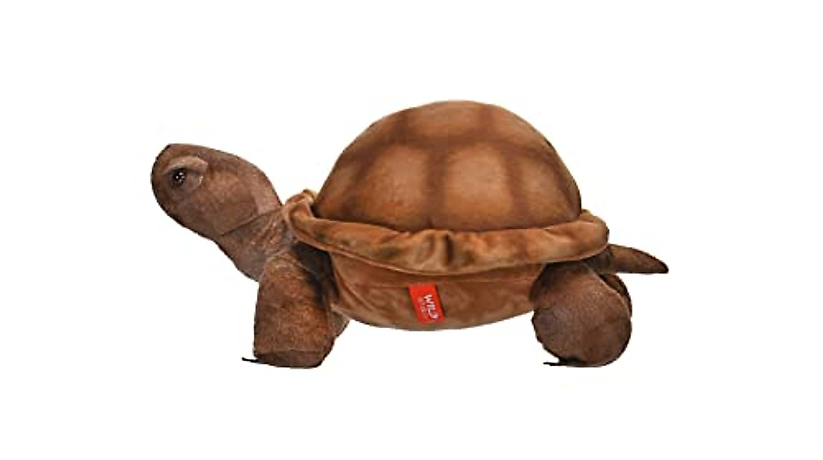 Wild Republic Desert Tortoise Plush Toy - Cuddle & Explore