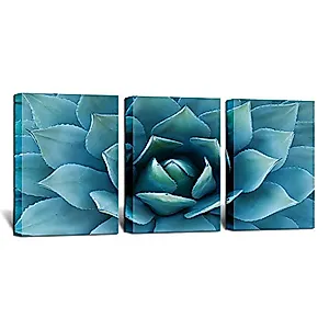 Biuteawal- Modern Canvas Painting Wall Art Blue Agave Picture Plant Painting Wall Decor Turquoise Teal Art Print Gallery Wrap Ready to Hang Modern Bedroom Decorations