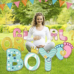 AerWo 11 Pieces Gender Reveal Decorations Baby Shower Yard Signs with Stakes,Baby Gender Reveal Ideas Yard Letters Lawn Signs Boy or Girl Gender Reveal Party Supplies