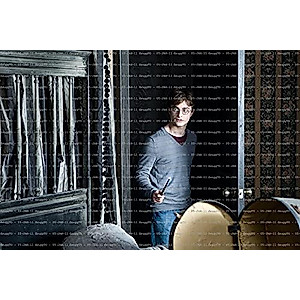 Harry Potter et les Reliques de la Mort - 1ère partie [Blu-ray]