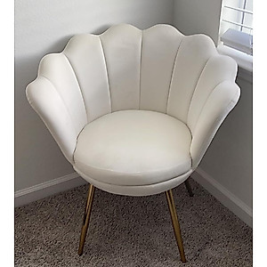 chairus Small Accent Chair for Living Room, Velvet Gold Cute Vanity Chair with Back for Makeup Room, Upholstered Shell Shaped Office Guest Modern Chair Arm Chair, Cream White