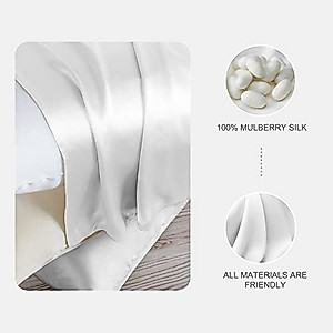 100% Mulberry Silk Pillowcase for Hair and Skin, Dafinner Standard Size Pillow Case 2 Pack with Hidden Zipper, 20x26, White