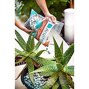 Arqlite Smart Gravel Eco Plant Drainage for Healthy Roots | for Pots, Houseplants, & Decor | Lightweight (1 Gal)