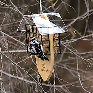Kingsyard Double Suet Bird Feeder with Tail-Prop & Weatherproof Roof, Metal Cage Suet Feeders for Outside Hanging, Great for Woodpecker, Chickadee, Nuthatch