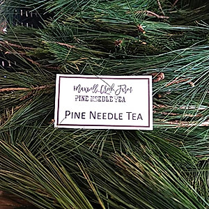 Organic Pine Needles for Tea | FRESH NOT DRIED | Maxwell Creek Farm | Loose Needles | Immune Boosting | Includes Trial Custom Blend Pine Needle Tea Bag! (2 Ounce Trial)