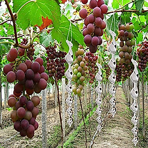 Haierc Bird Repellent Reflective Scare Rods Hanging Ornamental Spiral Rods-Keep Birds Woodpecker Away-8/12 Inch