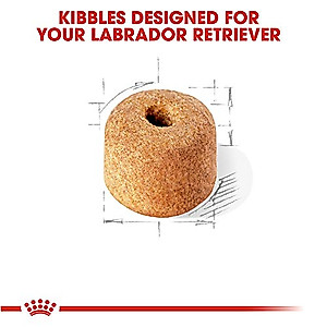 Royal Canin Labrador Retriever Adult Dry Dog Food, 30 lb bag