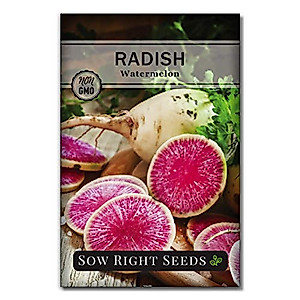Sow Right Seeds - Radish Seed Collection for Planting - Champion, Watermelon, French Breakfast, China Rose, and Minowase (Diakon) Varieties - Non-GMO Heirloom Seed to Plant a Home Vegetable Garden