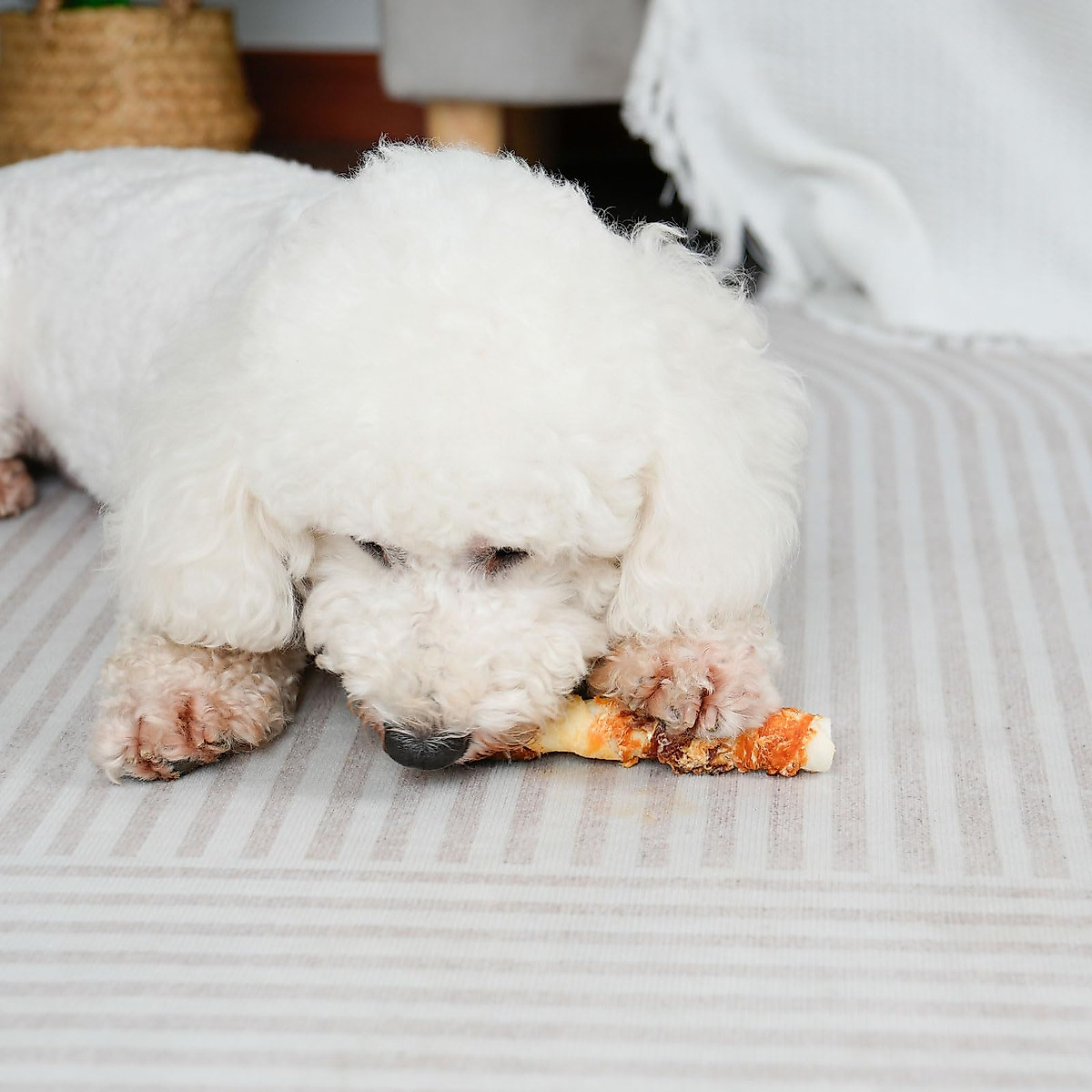 MON2SUN Dog Treats, Triple Flavor 6 Inch Chicken Liver Chicken Duck and Chicken Wrapped Rawhide Sticks, Teeth Cleaning Dog Snacks for Medium Dogs, 17.6 oz (10 Count-Pack of 1)