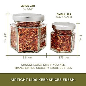 Gneiss Spice Magnetic Spice Jars | Create a Hanging Spice Rack on Your Fridge | Includes Large Empty Glass Jars, Magnetic Metal Lids and Spice Labels