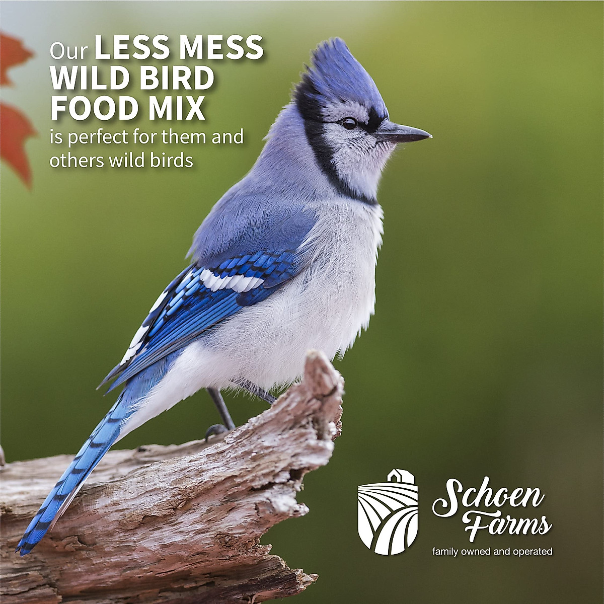 Gourmet Less Mess Wild Bird Food Mix (6 LBS) (No Mess) Blend for Cardinals, Chickadees, Nuthatches, Woodpeckers and Songbirds