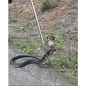 SUNKY - 47 inch Professional Snake Catcher, Collapsible Extra Heavy Duty Reptile Grabber Tongs Stick Rattlesnake Handling Tool Trash Pick Up, Litter Picker with Zigzag Wide Jaw- Stainless Steel