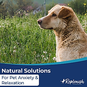 Replenish Hemp Calming Chews for Dogs and Cats - Dr. Rachel's Dog Calming Treats, Soothing Botanicals, Grain-Free, Anxiety Relief, Stress Support - 60 Count
