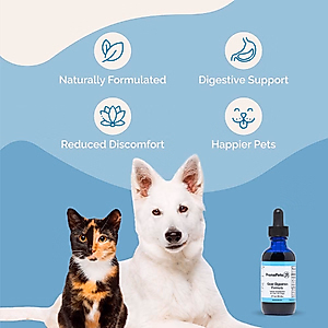 Prana Pets Good Digestion Formula Digestive Aid for Dogs & Cats | Naturally Promotes Healthy Digestion in Pets | Herbal Formula Safely Helps to Soothe Stomach & Digestive Tract Inflammation