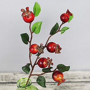 Group of 5 Artificial Rosehip Berries Simulation Pomegranate Fruit Floral Accessories (Red)