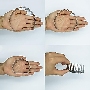 Bonropin Thanksgiving Cookie Cutter Set - 5 Piece Stainless Steel Cutters Molds for Making 3D Turkey,Lovely Little Turkey