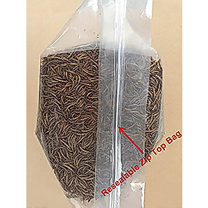 Hatortempt 10lbs Bulk Non-GMO Dried Mealworms for Reptile, Tortoise, Amphibian, Lizard, Wild Birds, Chickens, Duck, Poultry etc