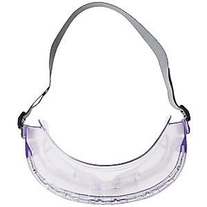 Honeywell Uvex by 9301 Futura Indirect Vent Goggle - S345C, Clear